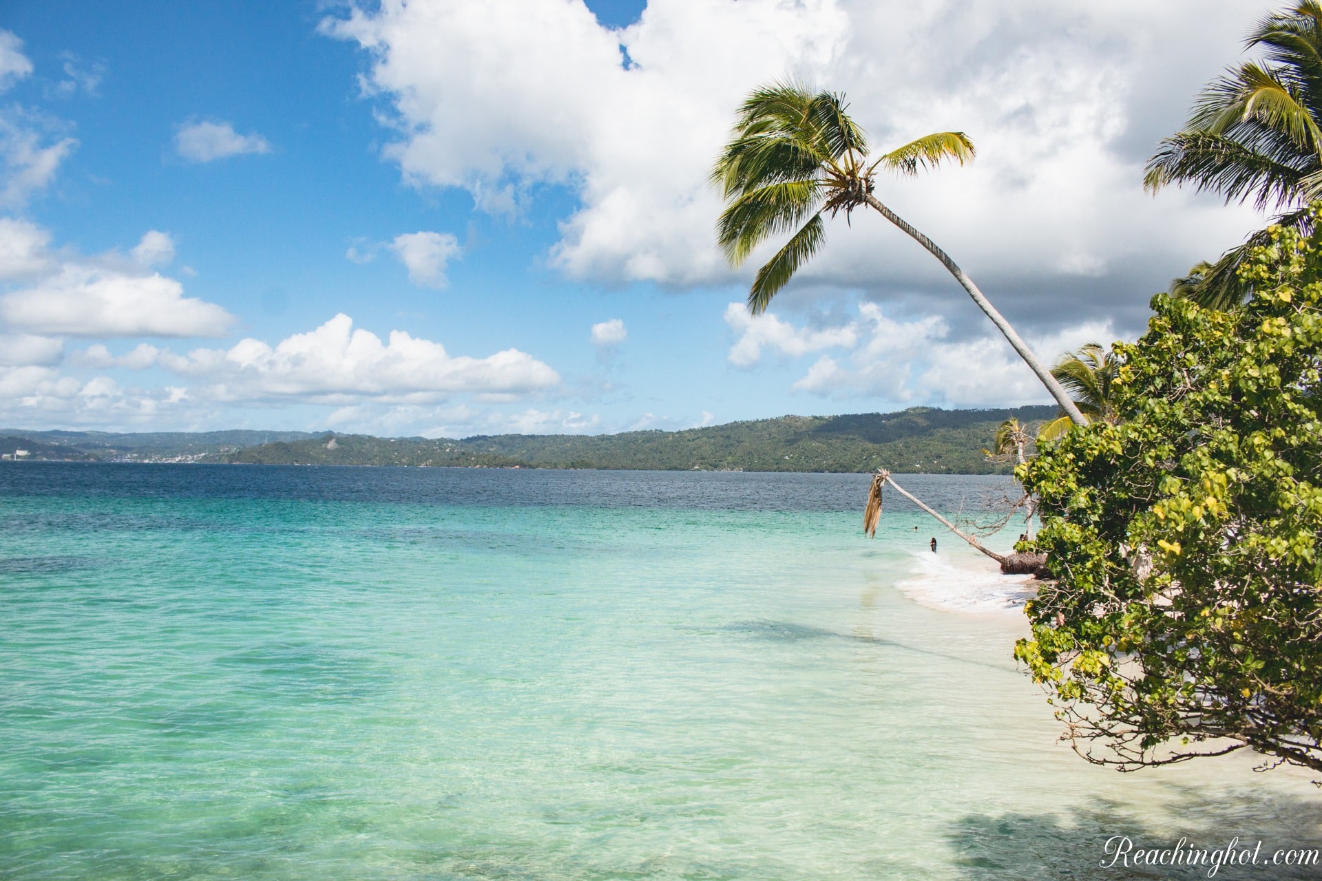 Experience the Caribbean paradise and whales in Samaná, Dominican ...