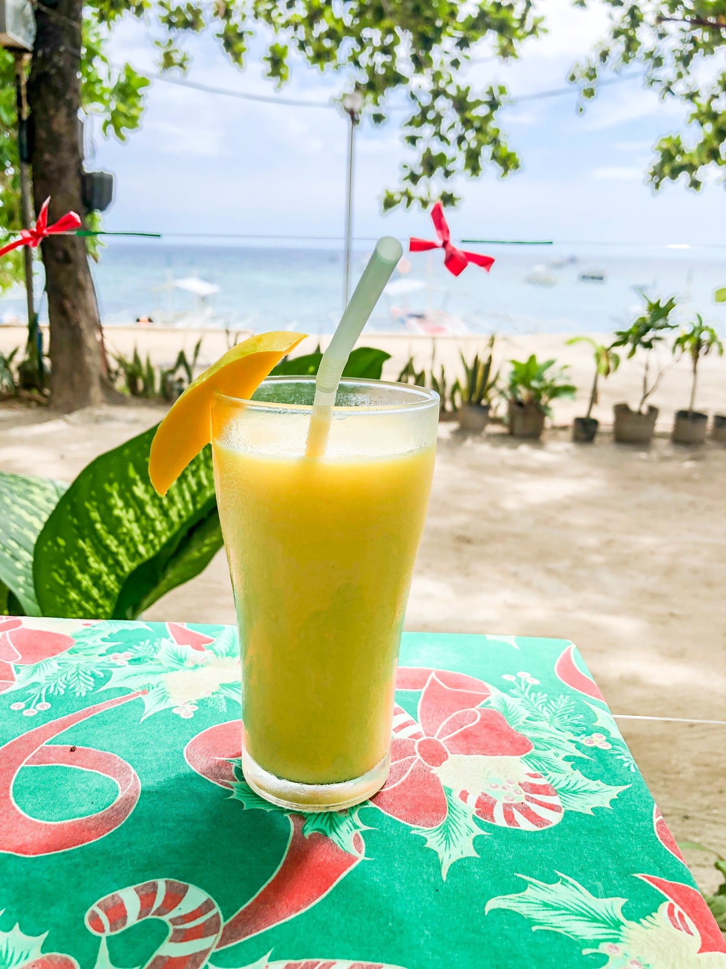 Chocolate hills and cute tarsiers: Guide to the beautiful island of ...