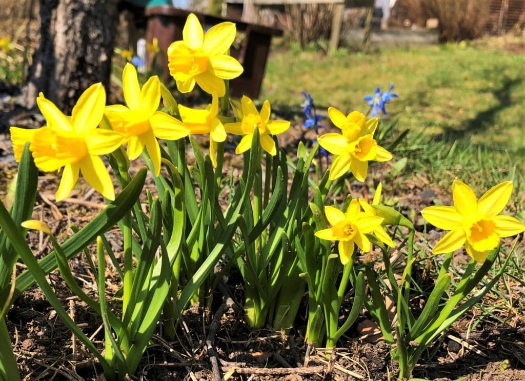 Easter celebration in Finland - Reachinghot