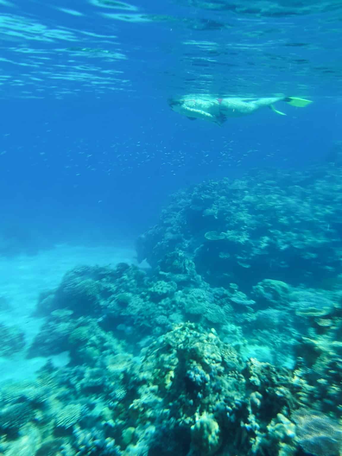 Pandan Island - Unforgettable paradise island experience in the ...